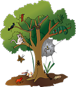 Visual Synthesis by Wyss Academia