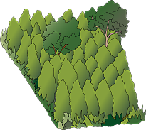 Visual Synthesis by Wyss Academia