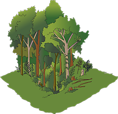 Visual Synthesis by Wyss Academia