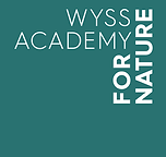 Visual Synthesis by Wyss Academia