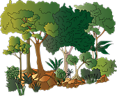 Visual Synthesis by Wyss Academia