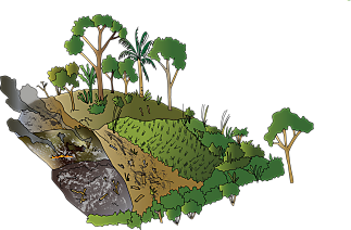 Visual Synthesis by Wyss Academia